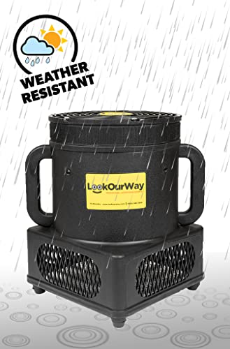 Air Tubes LookOurWay 10-Foot Air Dancer - Inflatable Tube Man ...